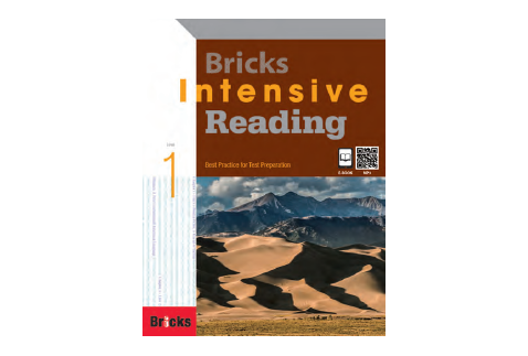 Bricks Intensive Reading